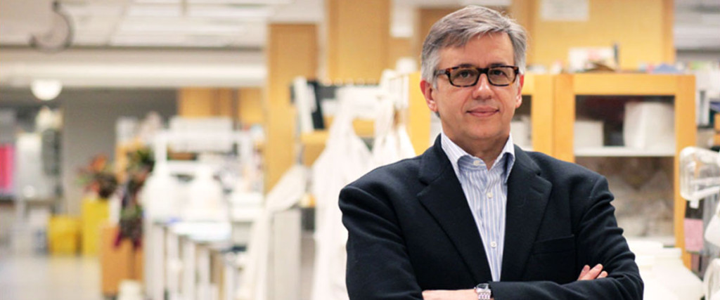 Research Activities - Vancouver Stroke Program